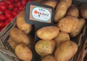Buy Online Potatoes, Lebanon, Organic | Organic Shop Dubai