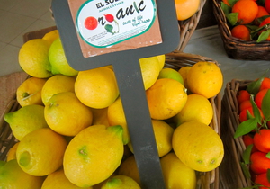 Buy Online Lemon, Lebanon (unwaxed), Organic | Organic Shop Dubai