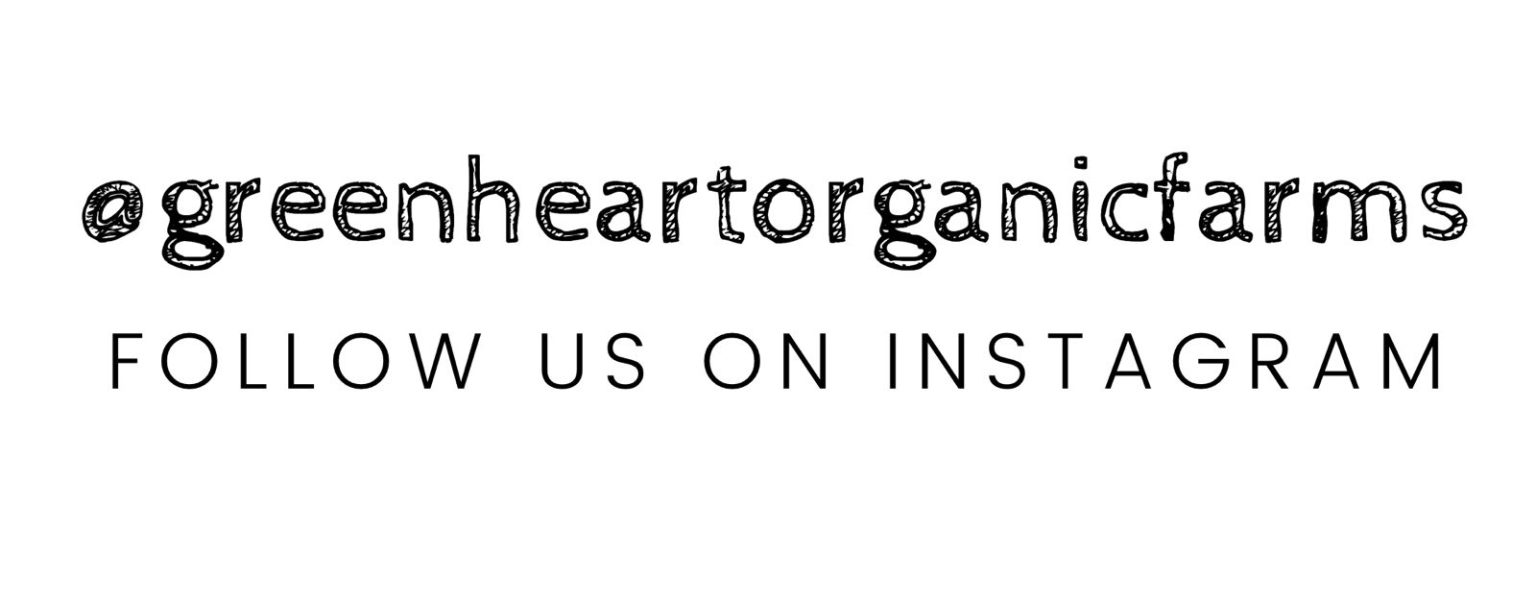 Order the most amazing freshly harvested genuine organic, locally grown ...